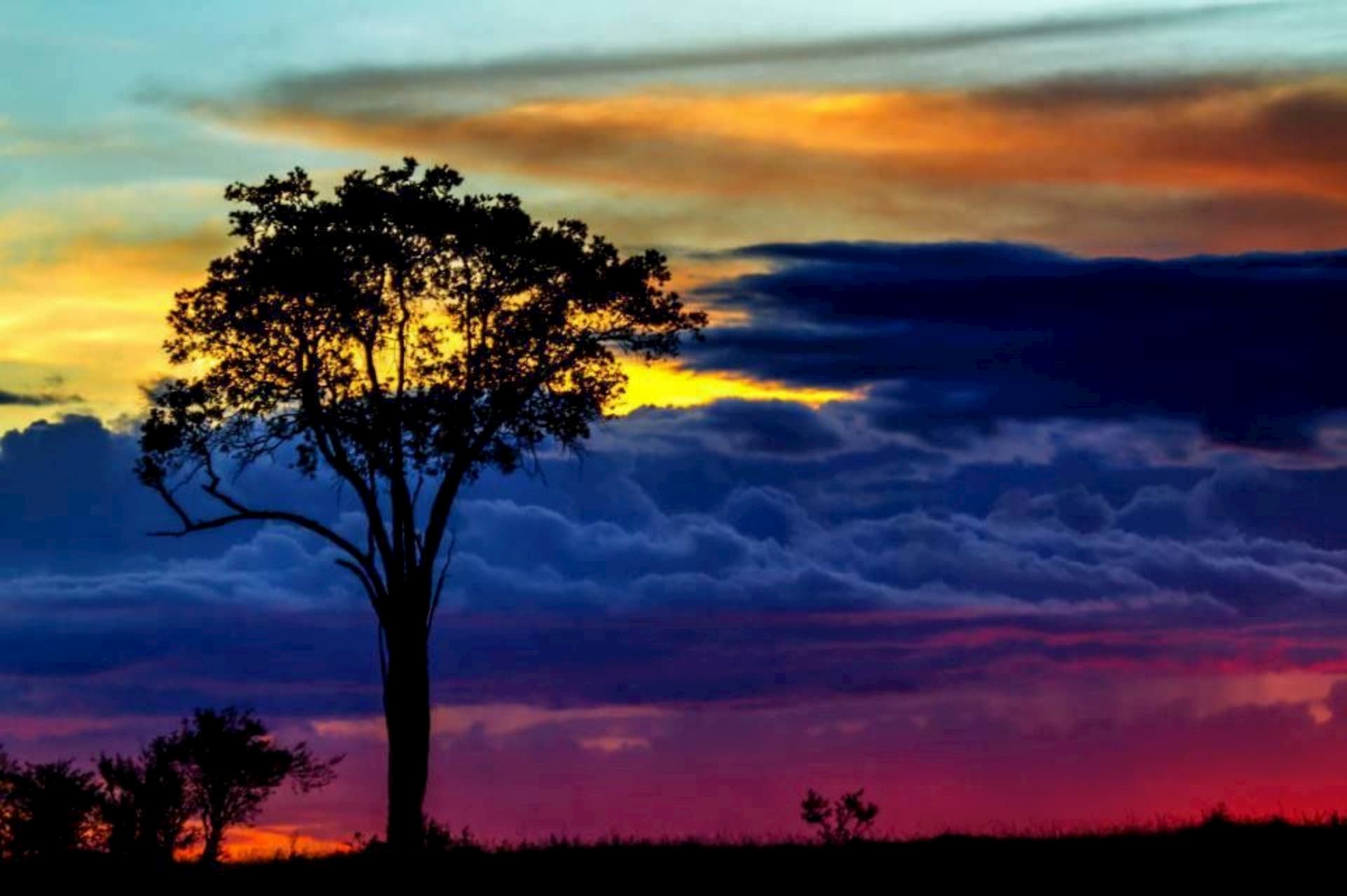 Qué hacer en los Llanos Orientales: Guía completa para el turismo ...