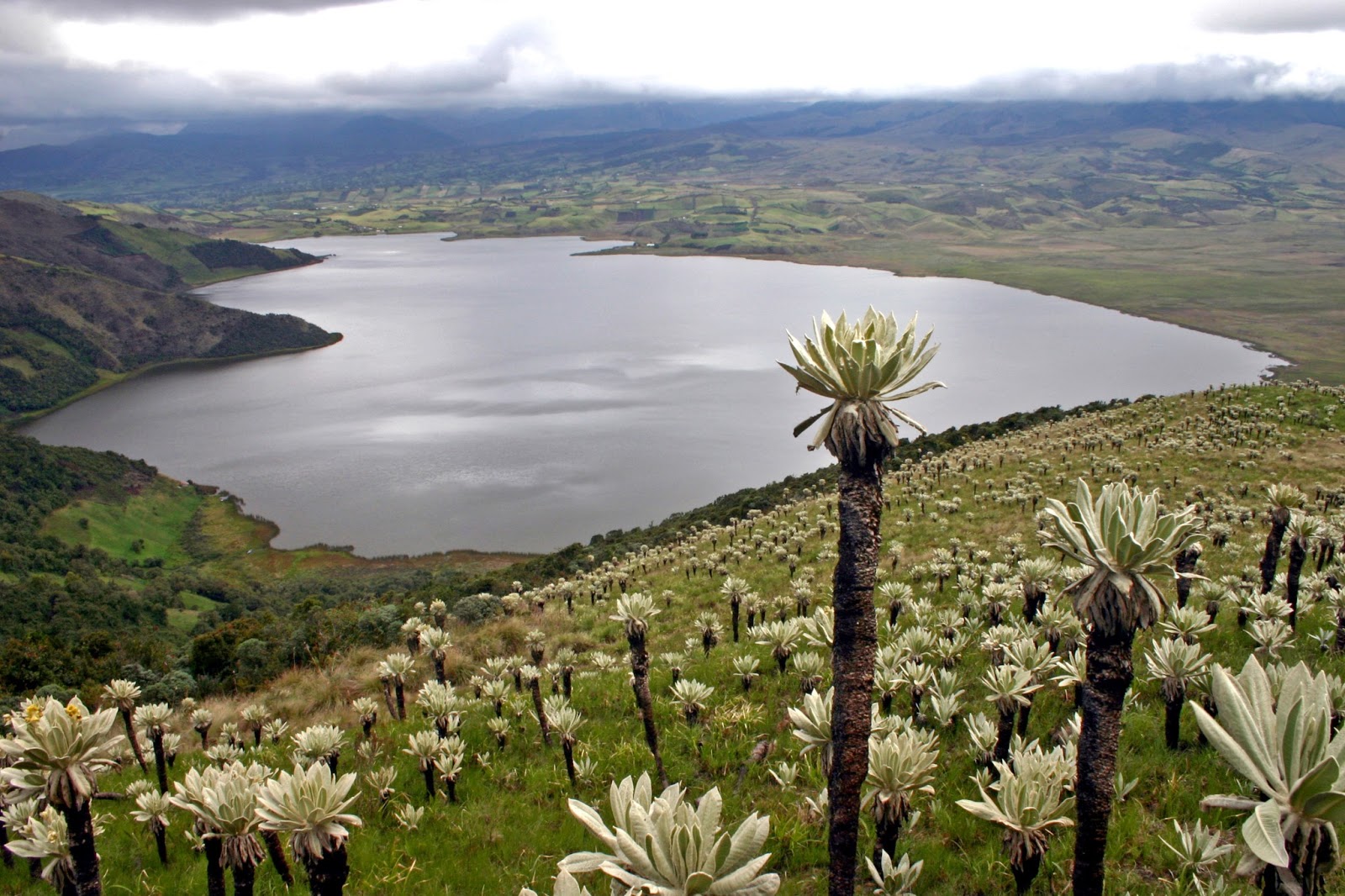 Tour Santuario de Flora y Fauna Galeras: Laguna y Páramo con Citix Turismo